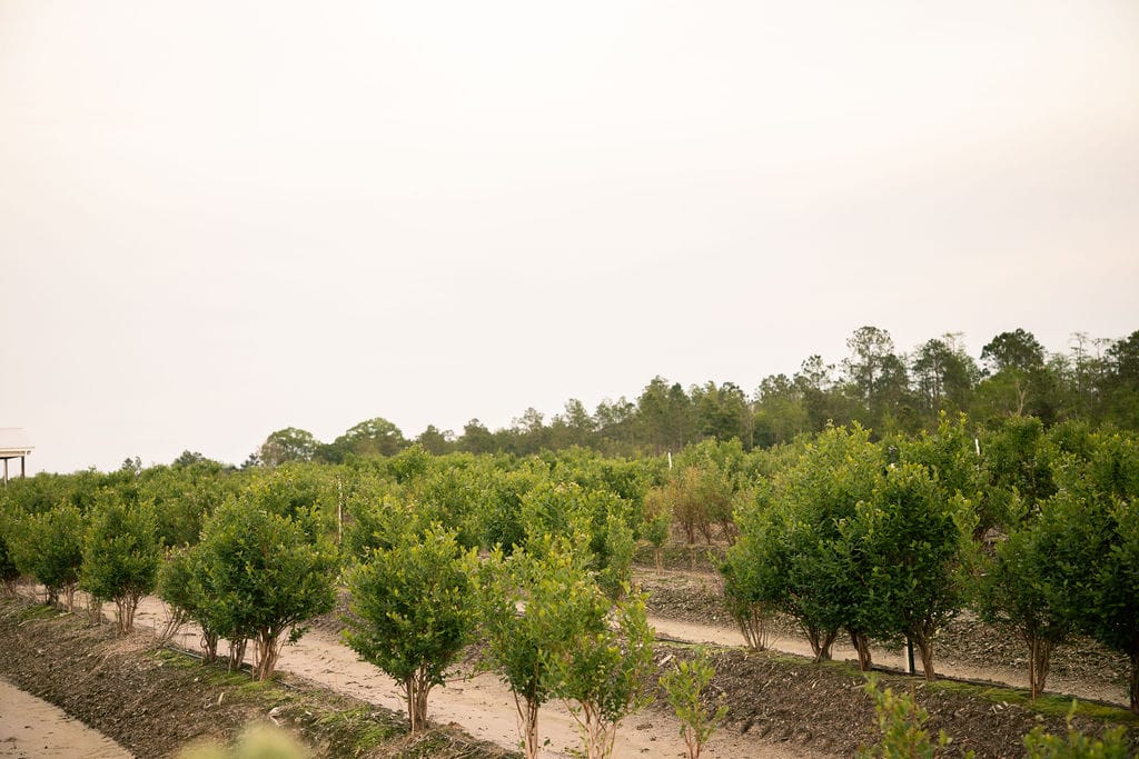About Us - Wrigley's Fields - Bristol, GA
