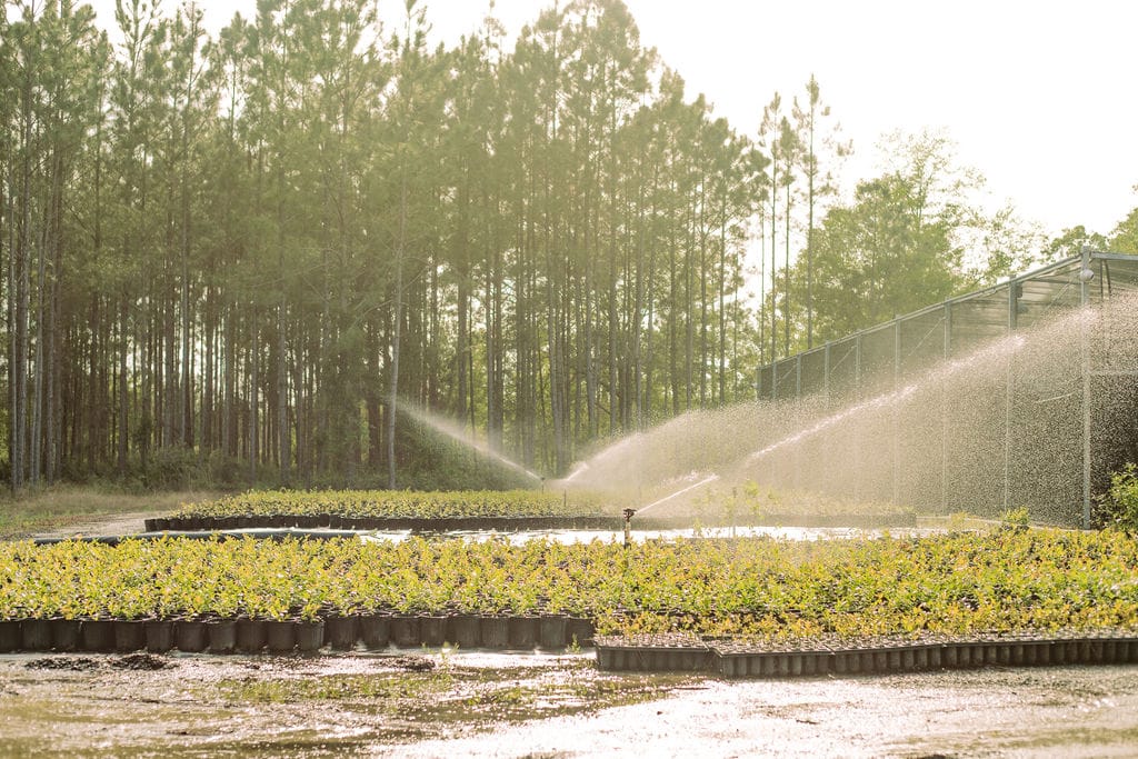 Fresh Produce - Wrigley's Fields - Bristol, GA